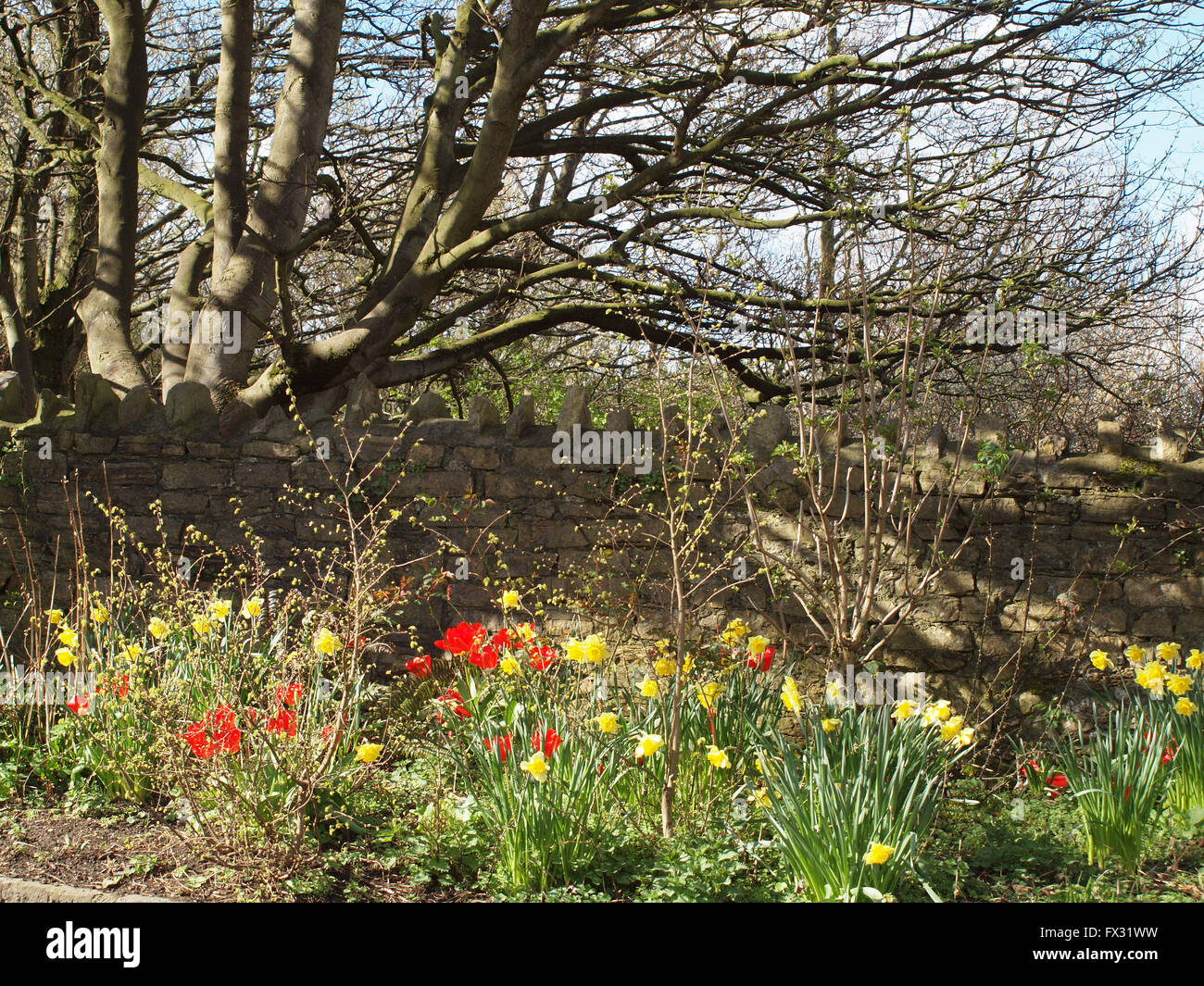 Newcastle upon tyne countryside hi-res stock photography and images - Alamy