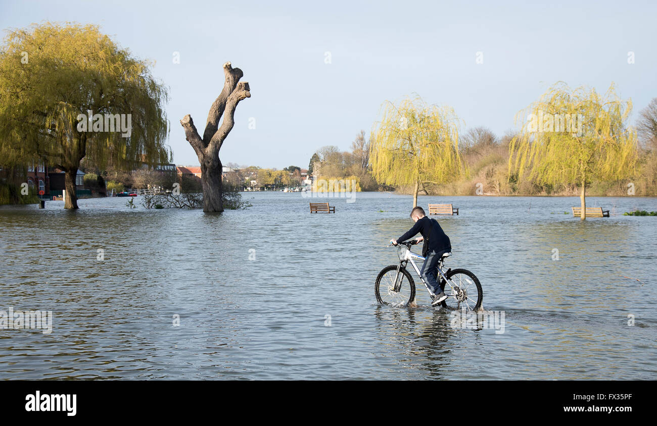 Radnor Gardens High Resolution Stock Photography and Images - Alamy