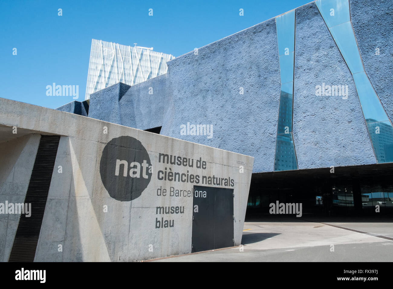 Telefonica building and Museu Blau,Blue Museum, in the Diagonal mar ...