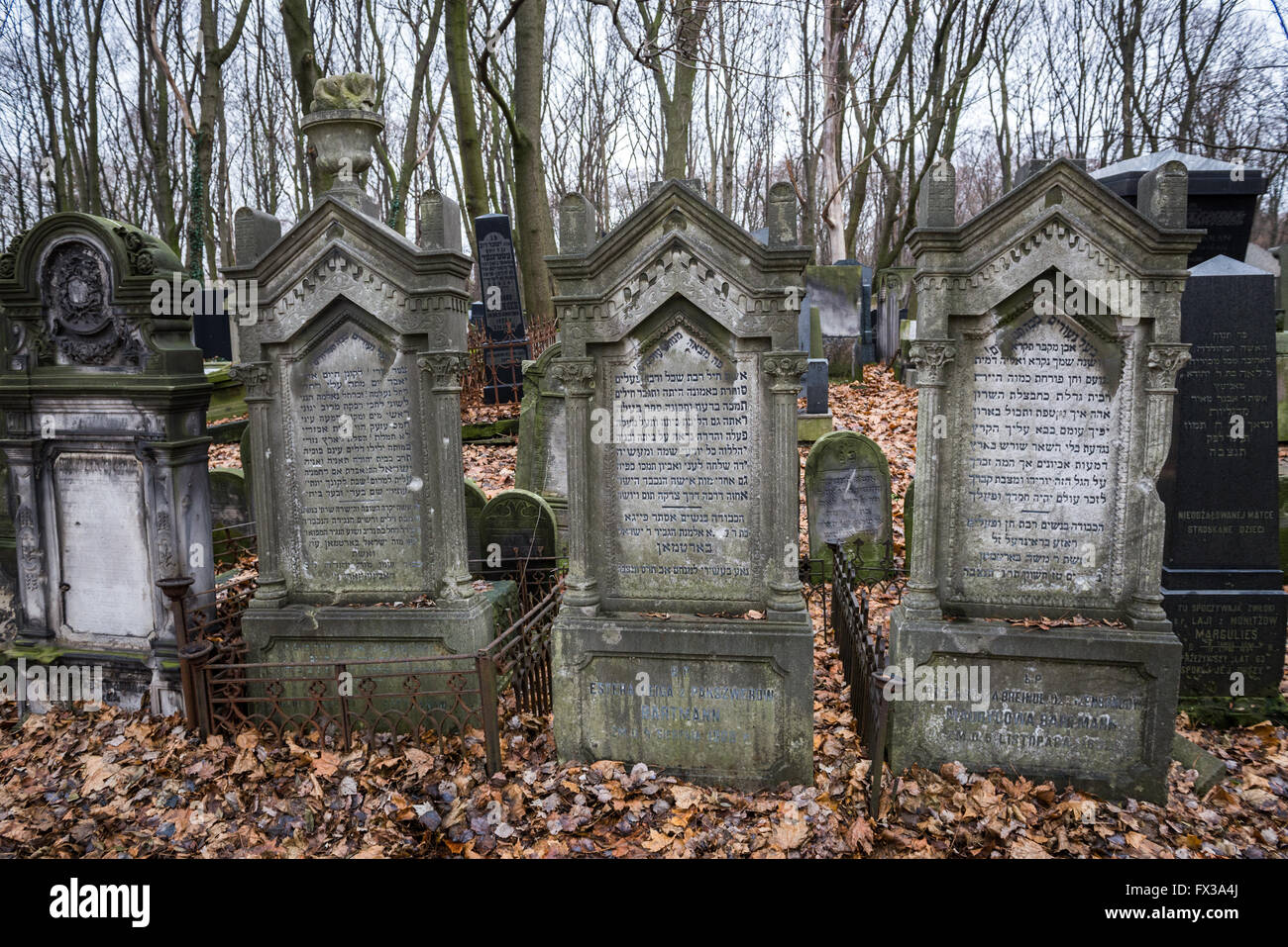 Old graves at Warsaw Jewish Cemetery is one of the largest Jewish ...