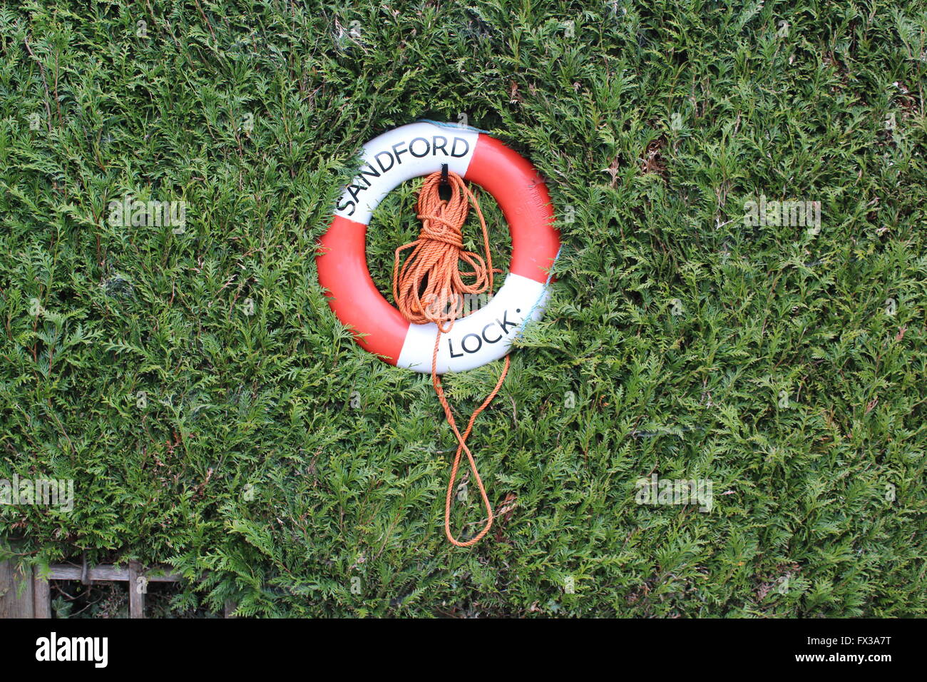 Life Belt nestled in bush by Sandford Lock on the River Thames ...