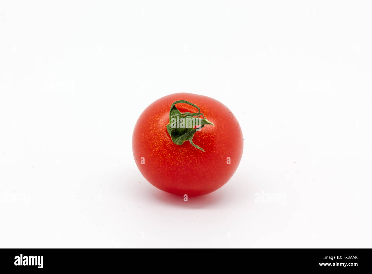 A Single Tomato Stock Photo - Alamy