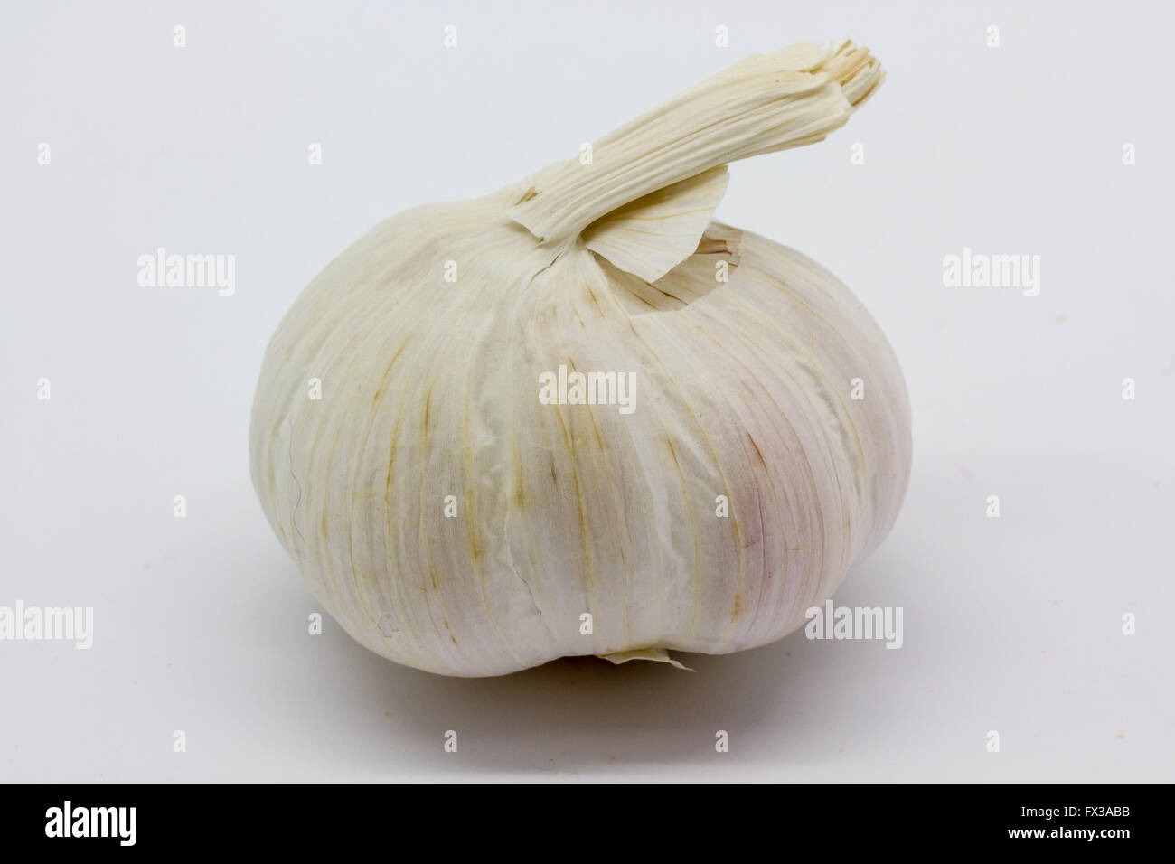 A bulb of garlic Stock Photo - Alamy