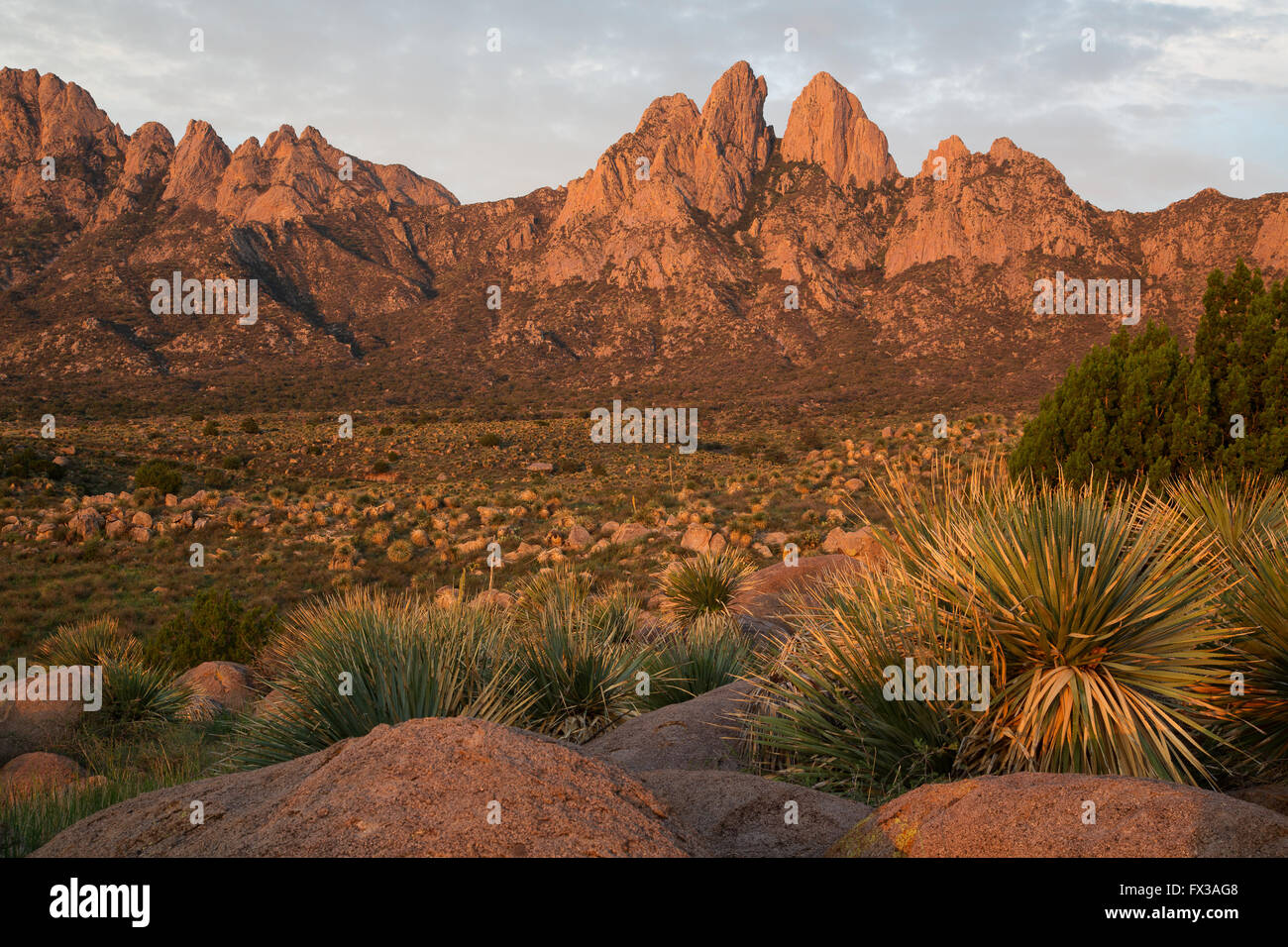 The Organ Mountains in the Organ Mountains-Desert Peaks National ...