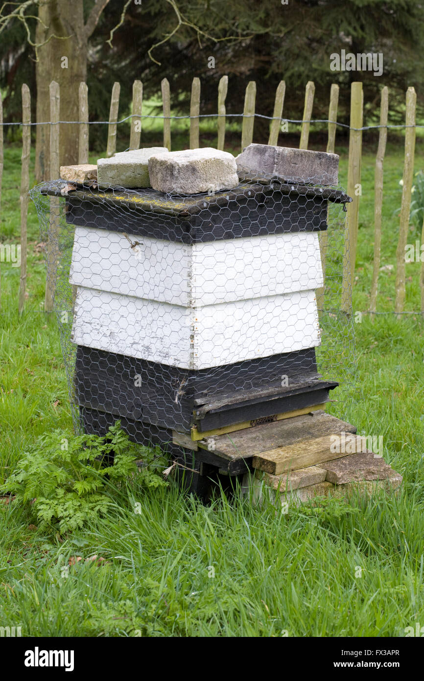 Stone bee hive hi-res stock photography and images - Alamy