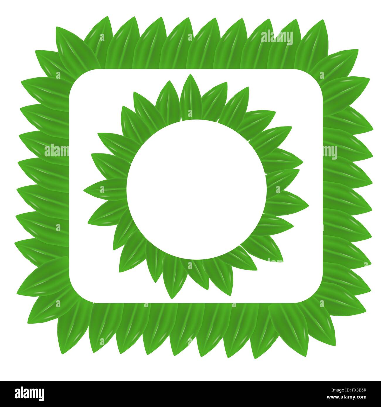 Two Green Leaves Frames Stock Vector Image & Art - Alamy