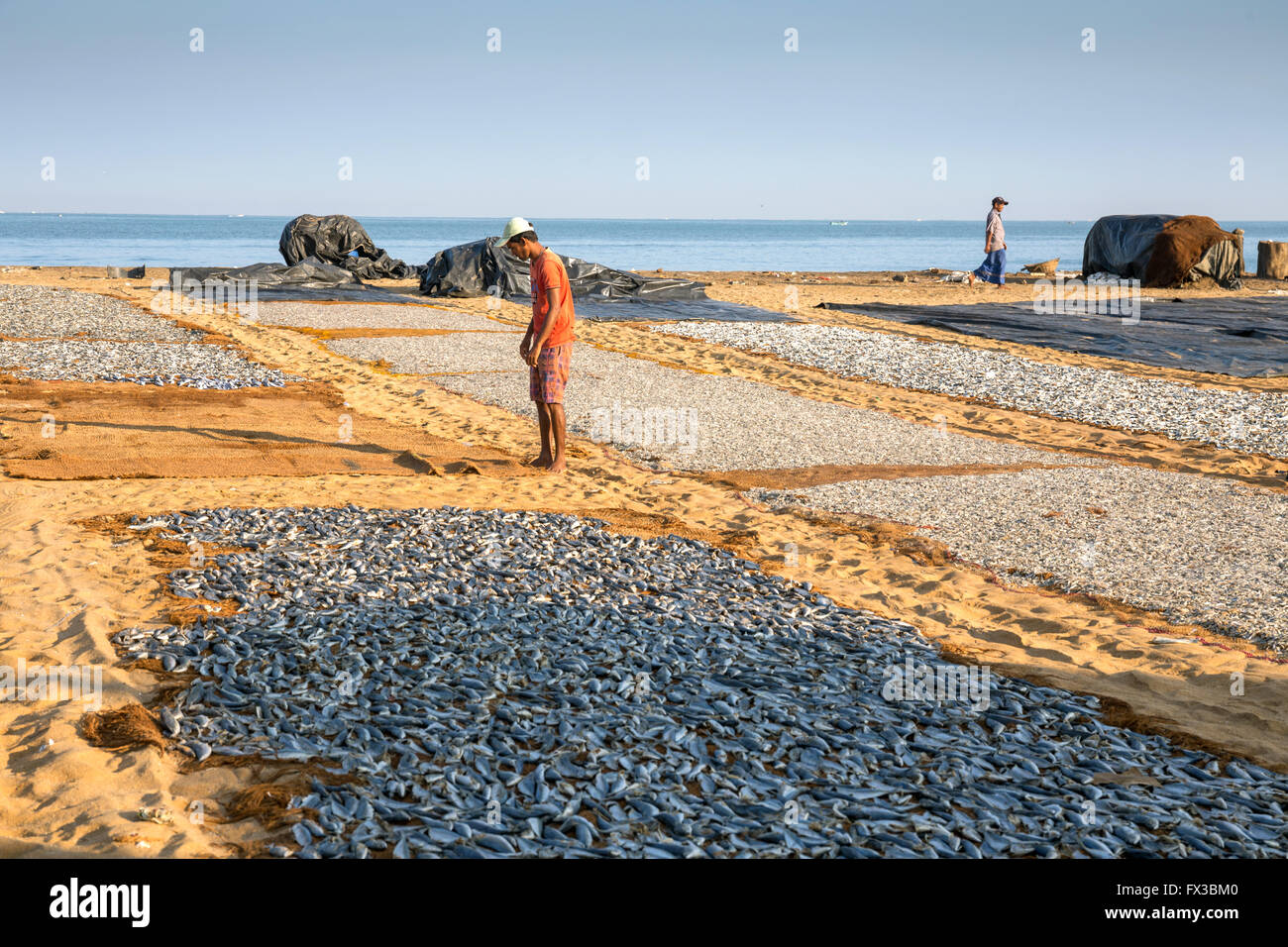 Fish drying technique hi-res stock photography and images - Alamy