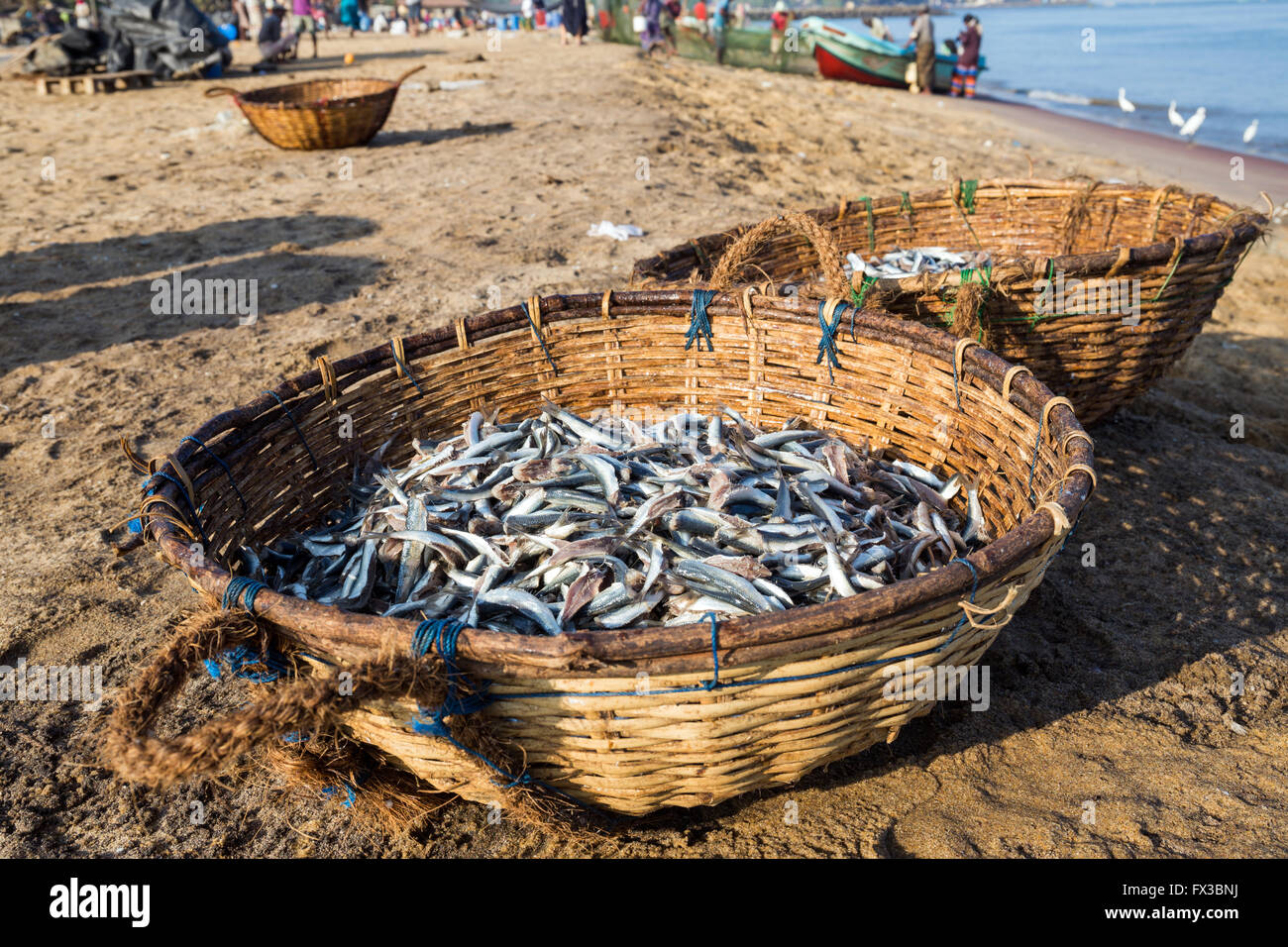 Fishing wicker basket fish hi-res stock photography and images - Alamy