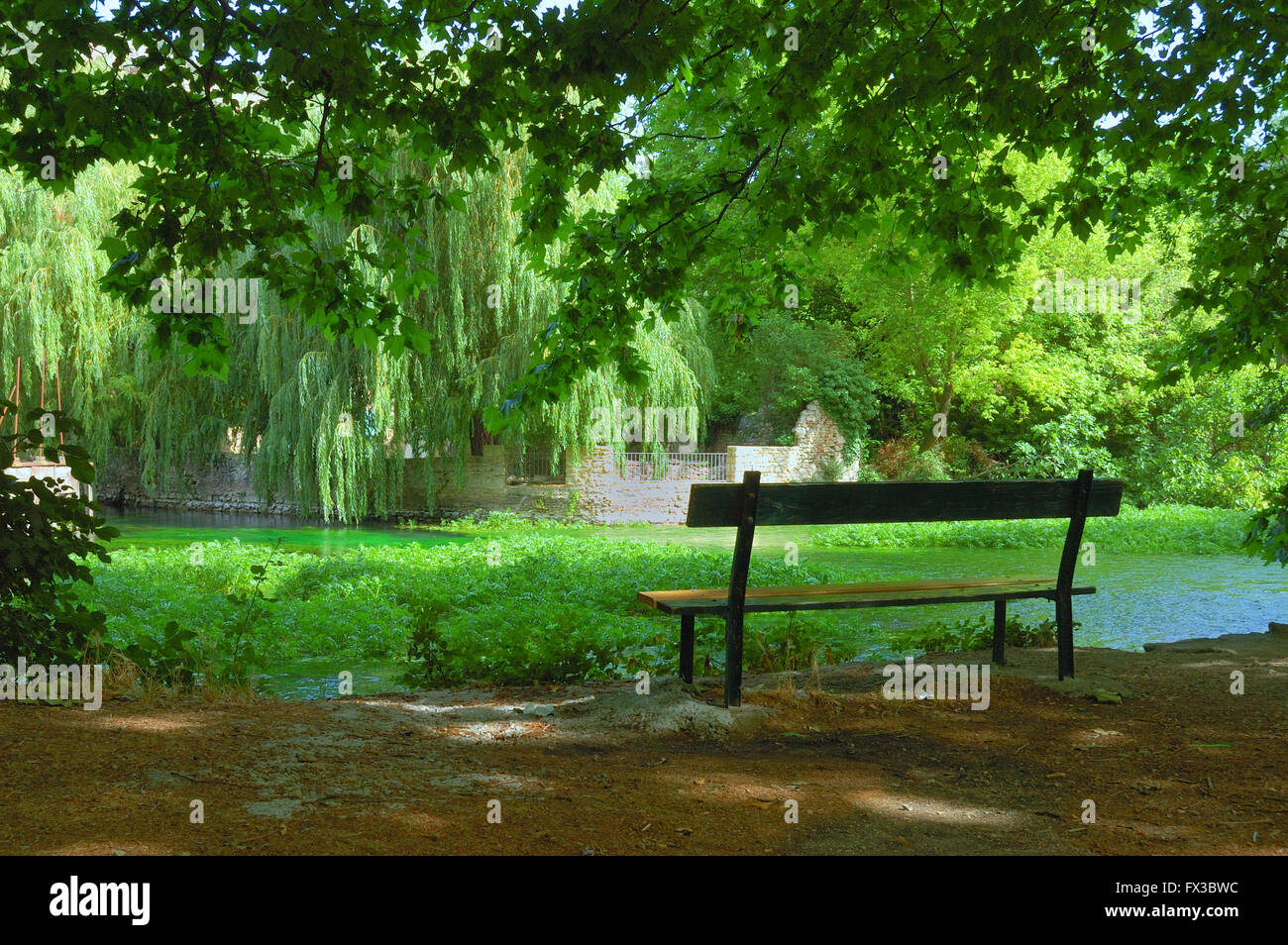 Old park bench in Provence by stream surrounded by greenery Stock Photo ...