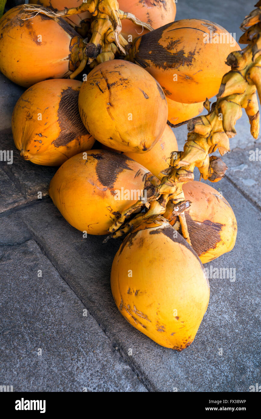 Vendor stand with red coconuts (aka King coconuts) for sale, Colombo ...