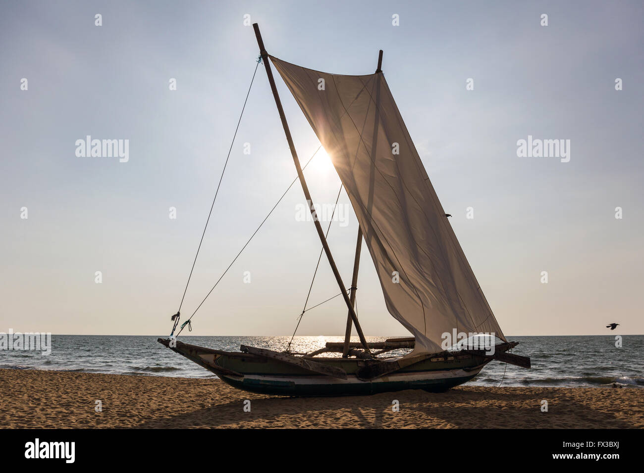 View of Traditional Outrigger Fishing Boat (Oruva) with Sail on Negombo ...