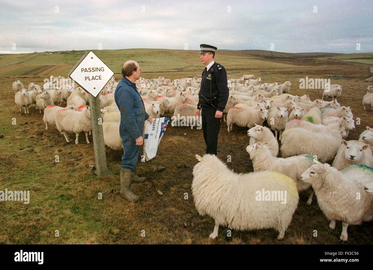 police constable at work on the Isle of Fetlar, Shetland Stock Photo ...
