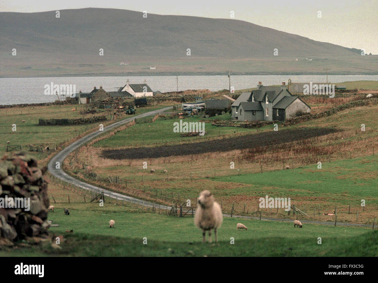 Papa Stour Shetland Stock Photo - Alamy