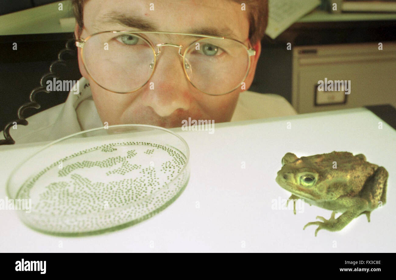 Frog experiment hi-res stock photography and images - Alamy