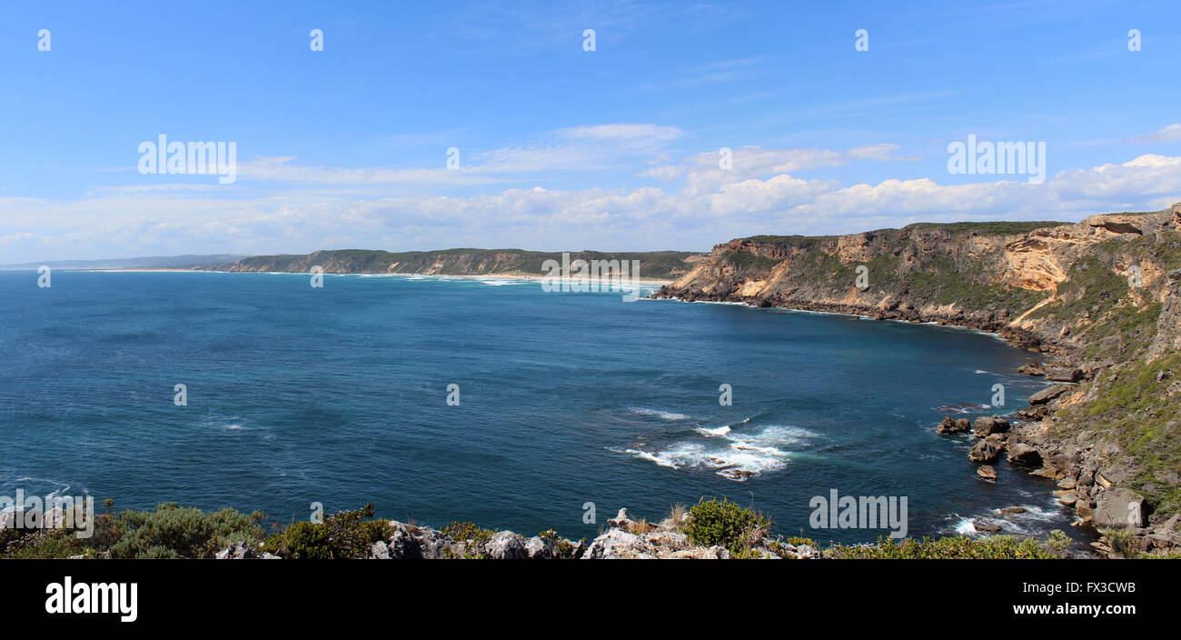 Scenic view of the Southern Ocean with the sparsely vegetated cliff and ...