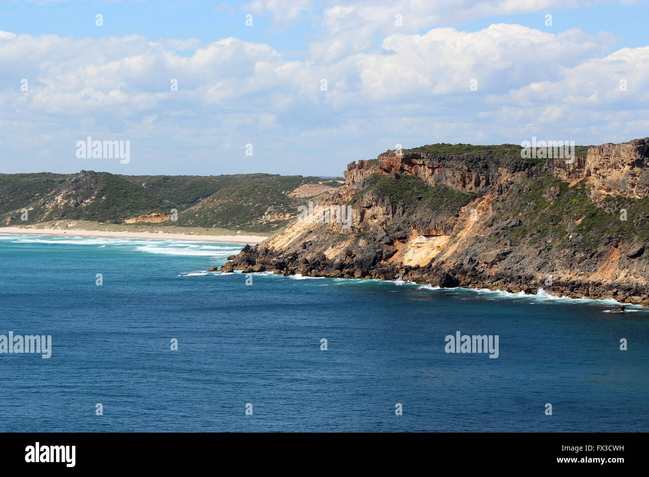 Scenic view of the Southern Ocean with the sparsely vegetated cliff and ...