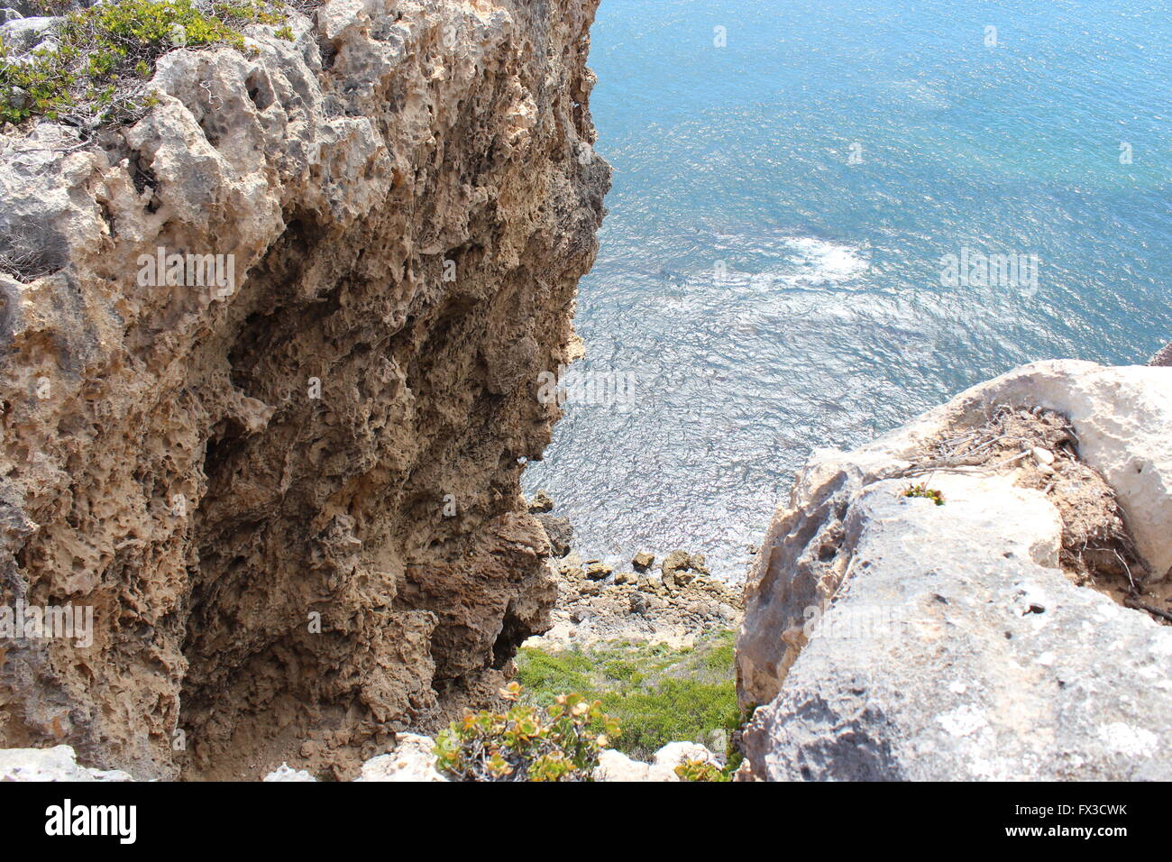 Scenic view of the Southern Ocean with the sparsely vegetated cliff and ...
