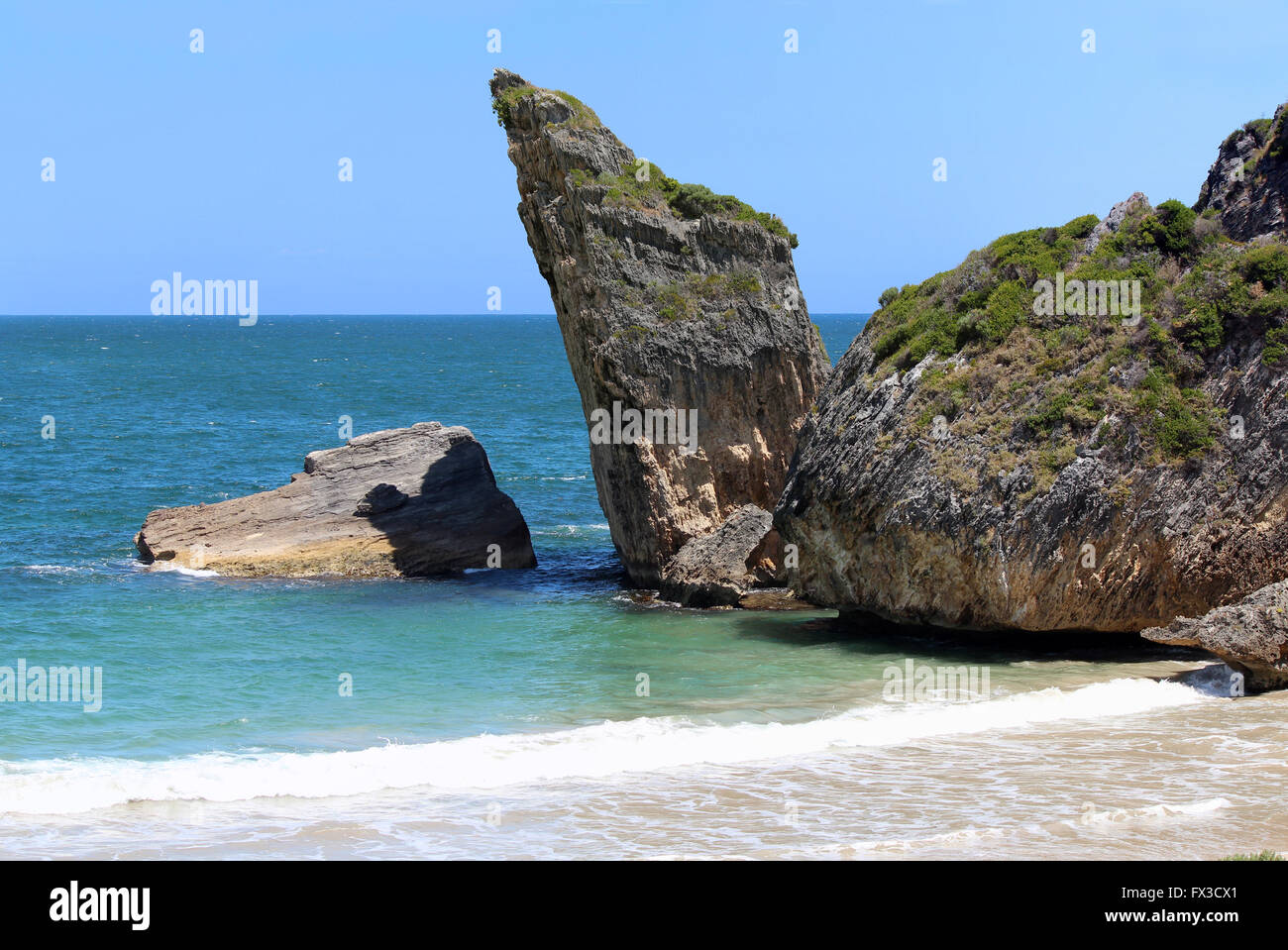 Scenic view of the Southern Ocean with the sparsely vegetated cliff and ...