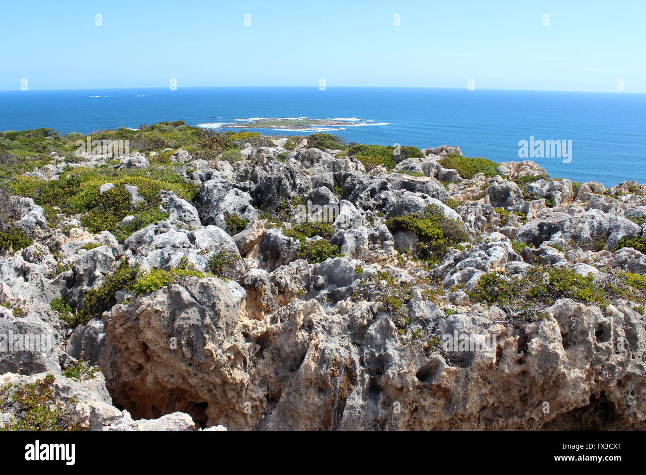 Scenic view of the Southern Ocean with the sparsely vegetated cliff and ...