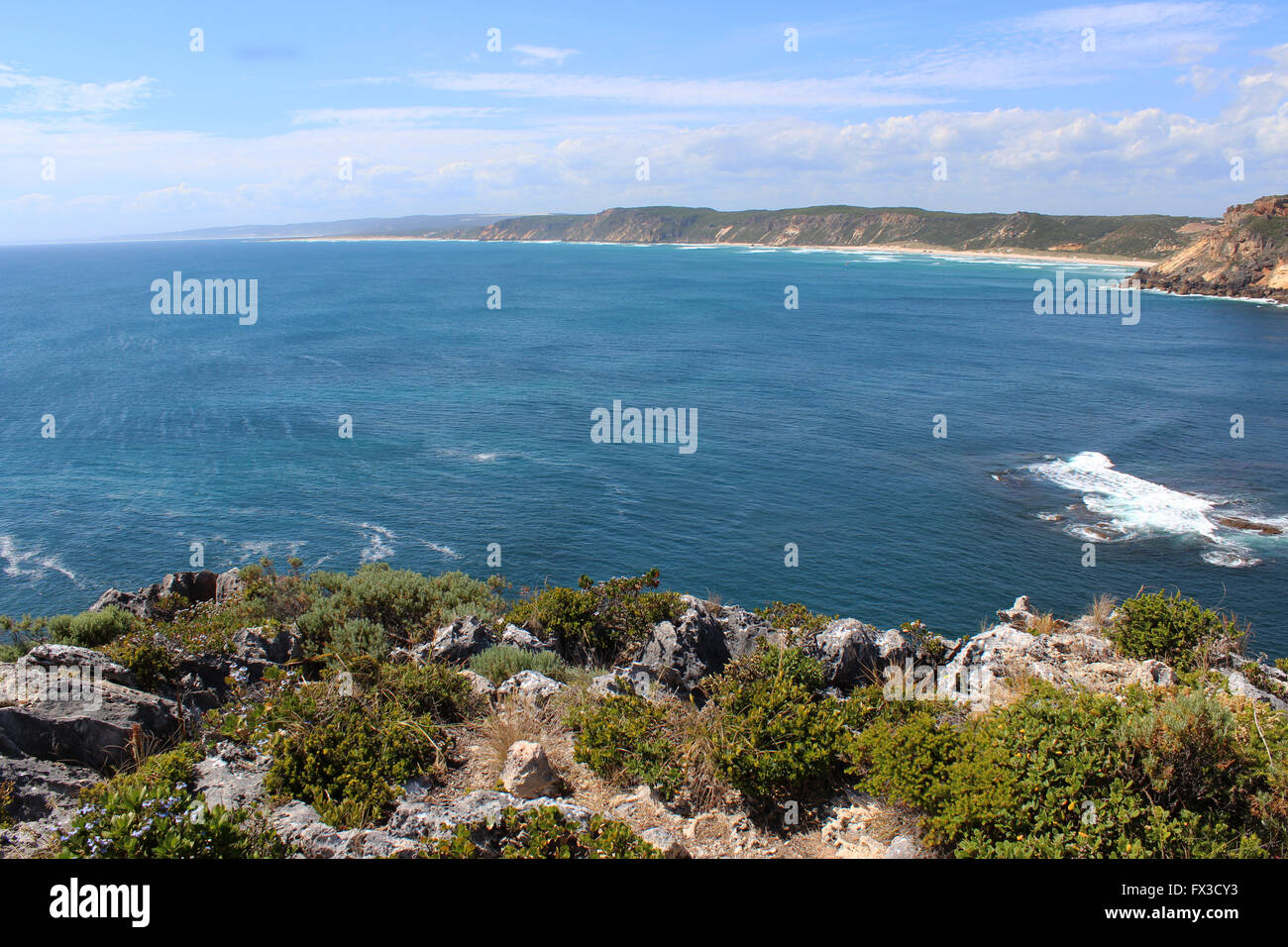Scenic view of the Southern Ocean with the sparsely vegetated cliff and ...