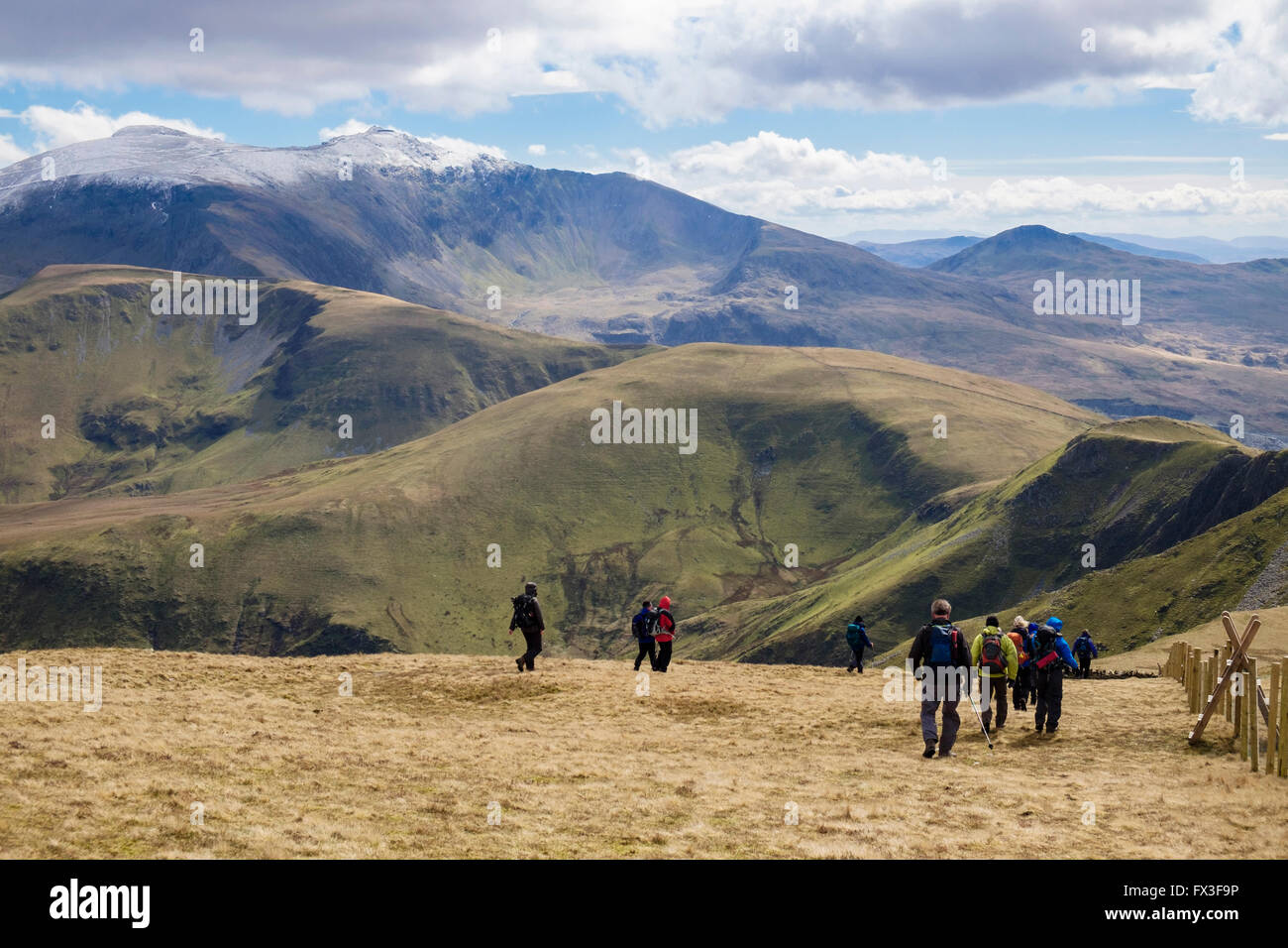 Hikers walking down Moel Eilio with view of snowcapped Mount Snowdon ...