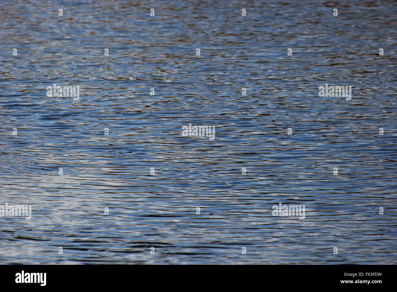 Gently rippled sea Stock Photo - Alamy