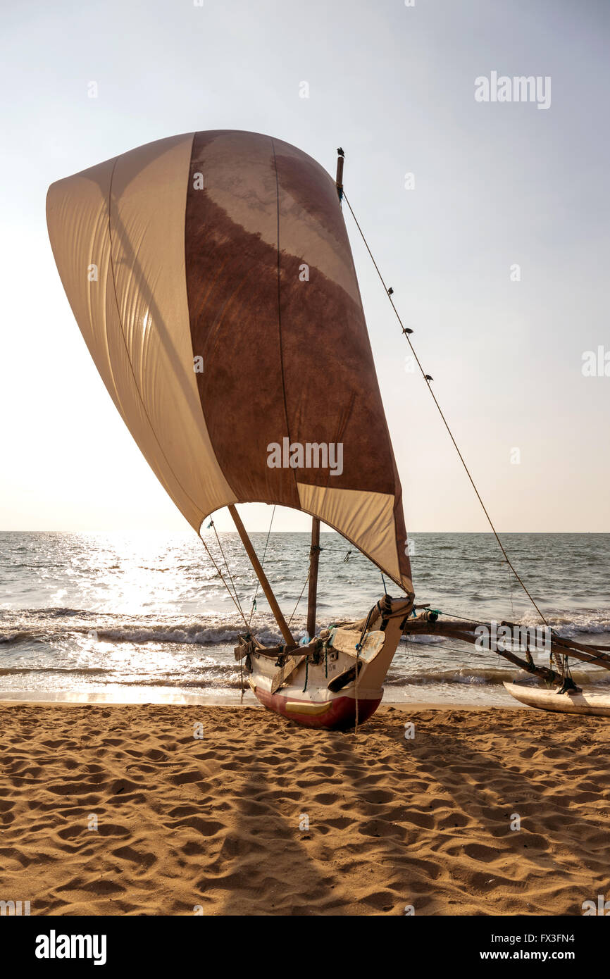 View of Traditional Outrigger Fishing Boat (Oruva) with Sail on Negombo ...