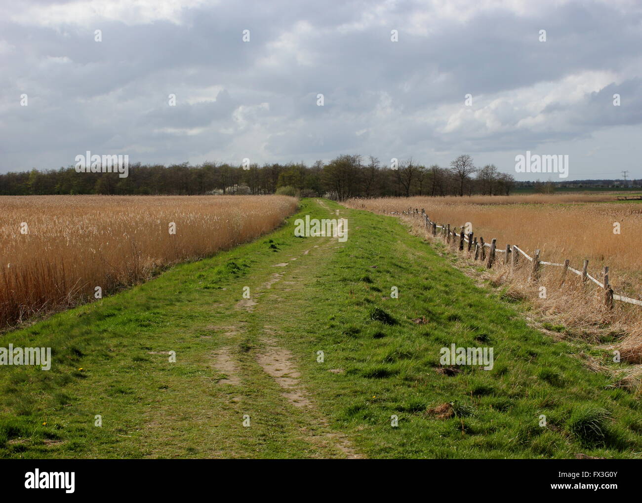 Coastal levee hi-res stock photography and images - Alamy