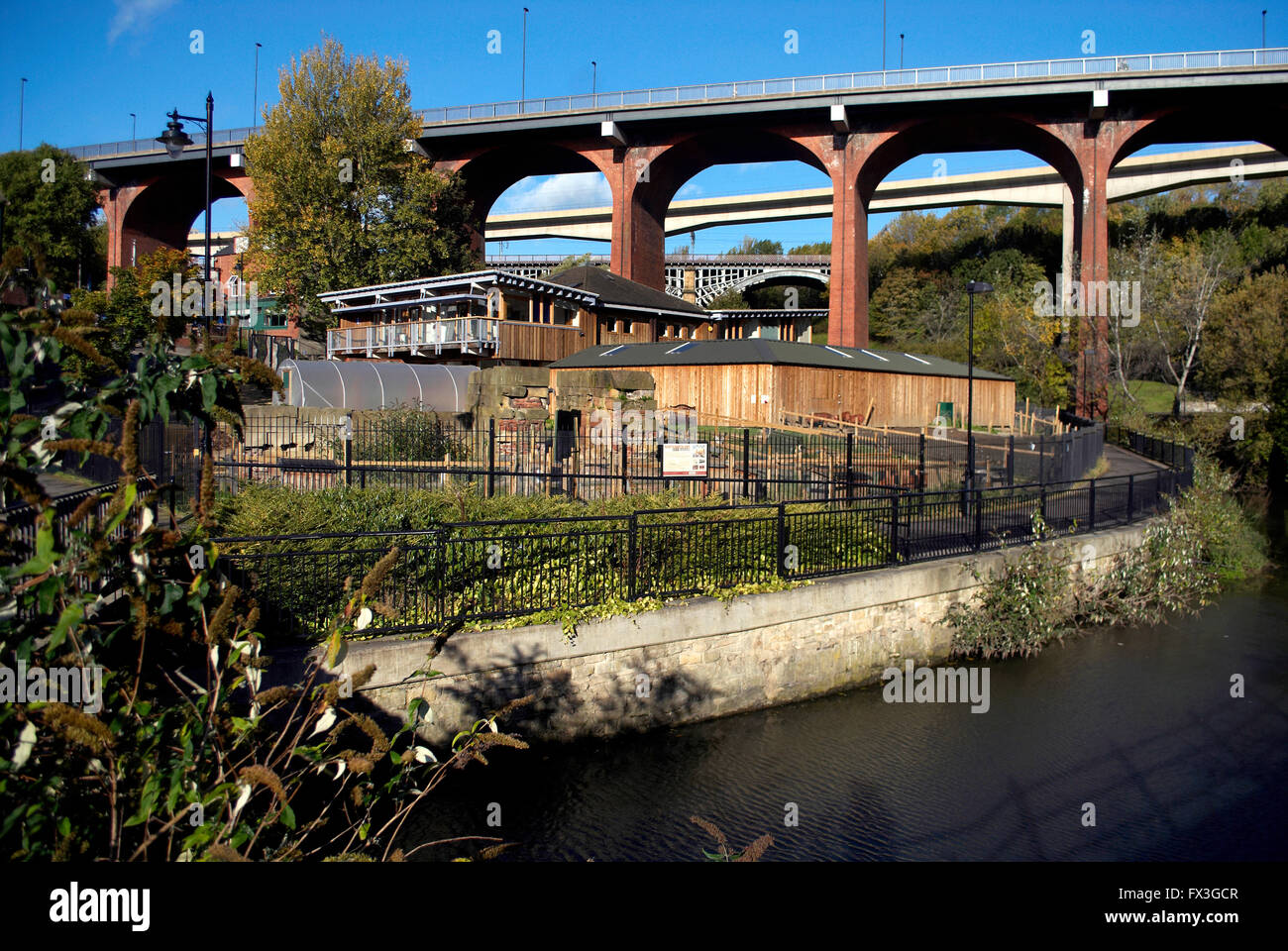 City Farm and Bridges, Ouseburn Stock Photo - Alamy