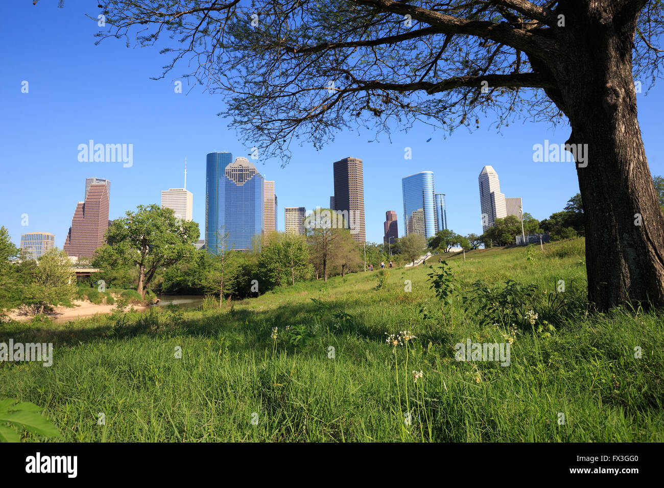 Houston city scape hi-res stock photography and images - Alamy