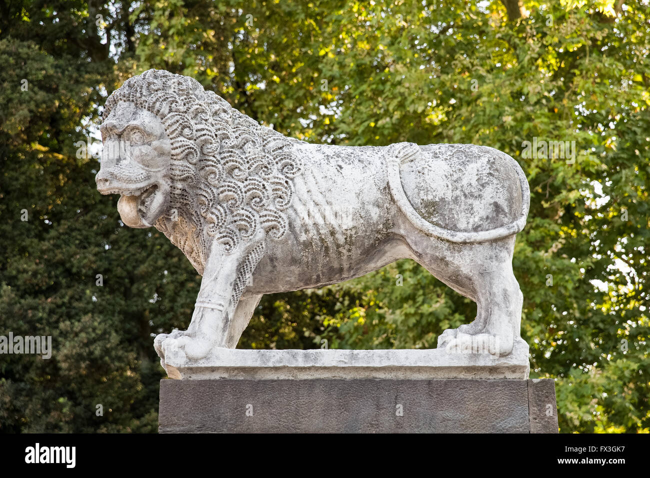Ancient stone lion statue in Tuscany, standing atop the medieval wall ...