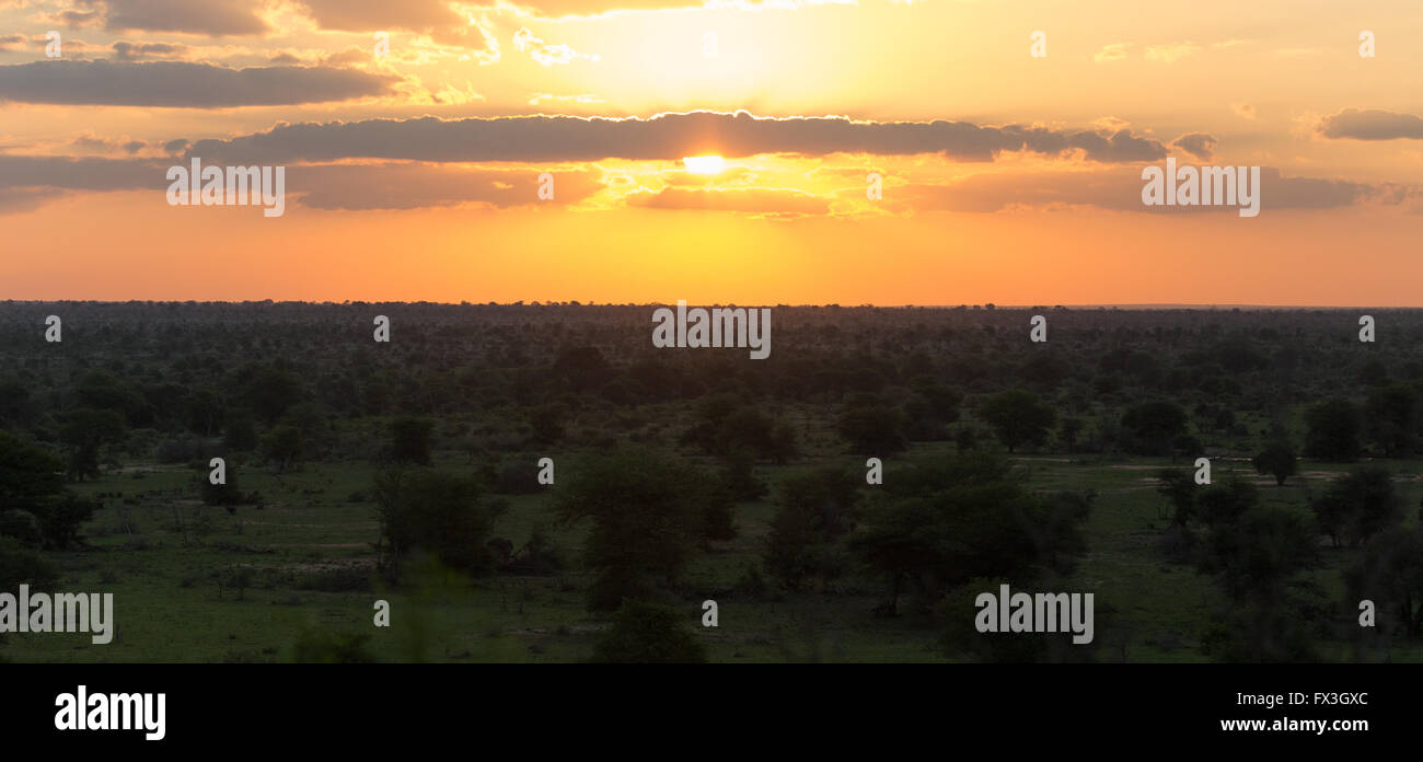 Beautiful orange glow of the bushveld as the sun goes down in Kruger ...