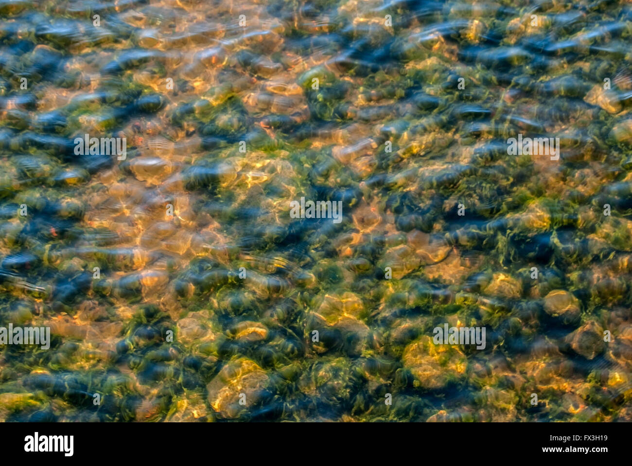 The bottom of the stones of silt and sand under a thin layer of the ...