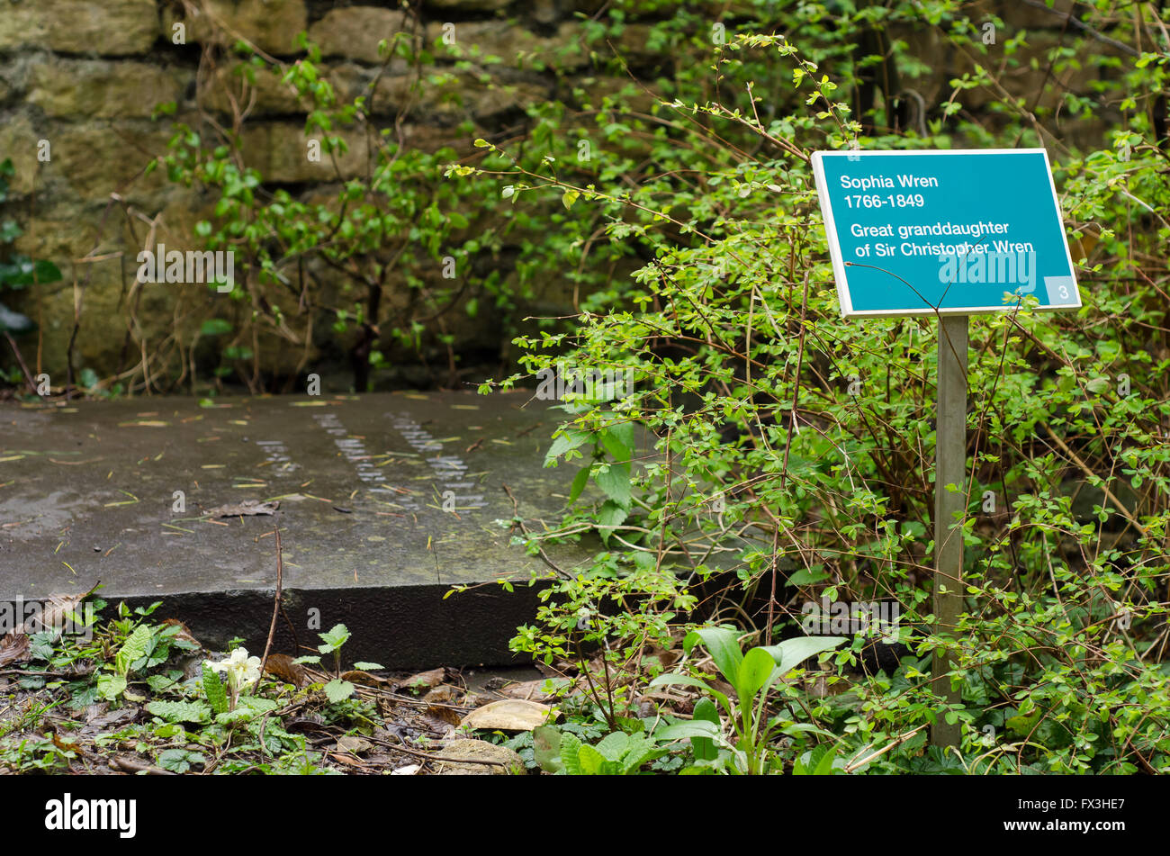 Sophia Wren's gravestone. Sign indicating the gravestone of the great ...