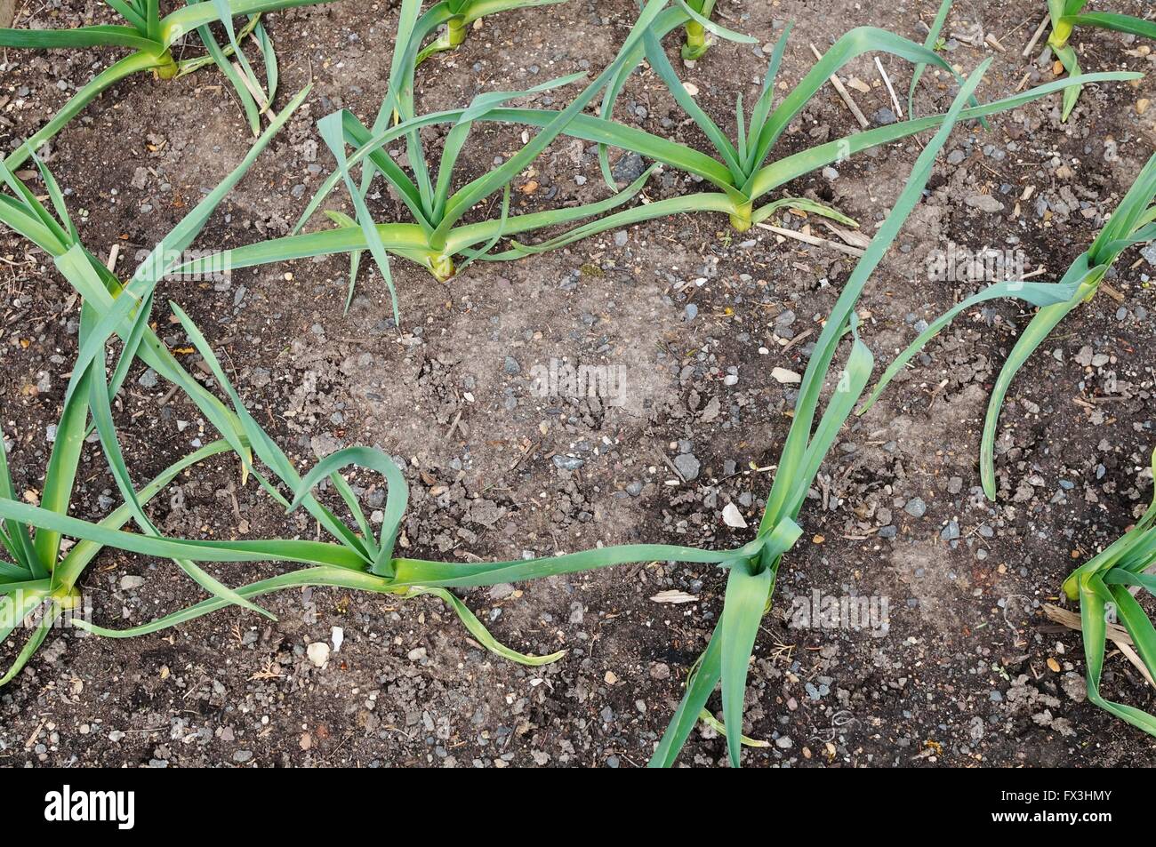 Raised container hi-res stock photography and images - Alamy