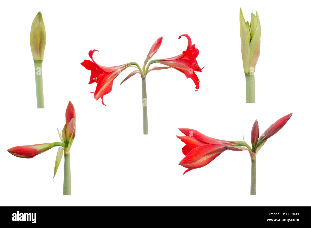 White aesthetic background Cut Out Stock Images & Pictures - Alamy