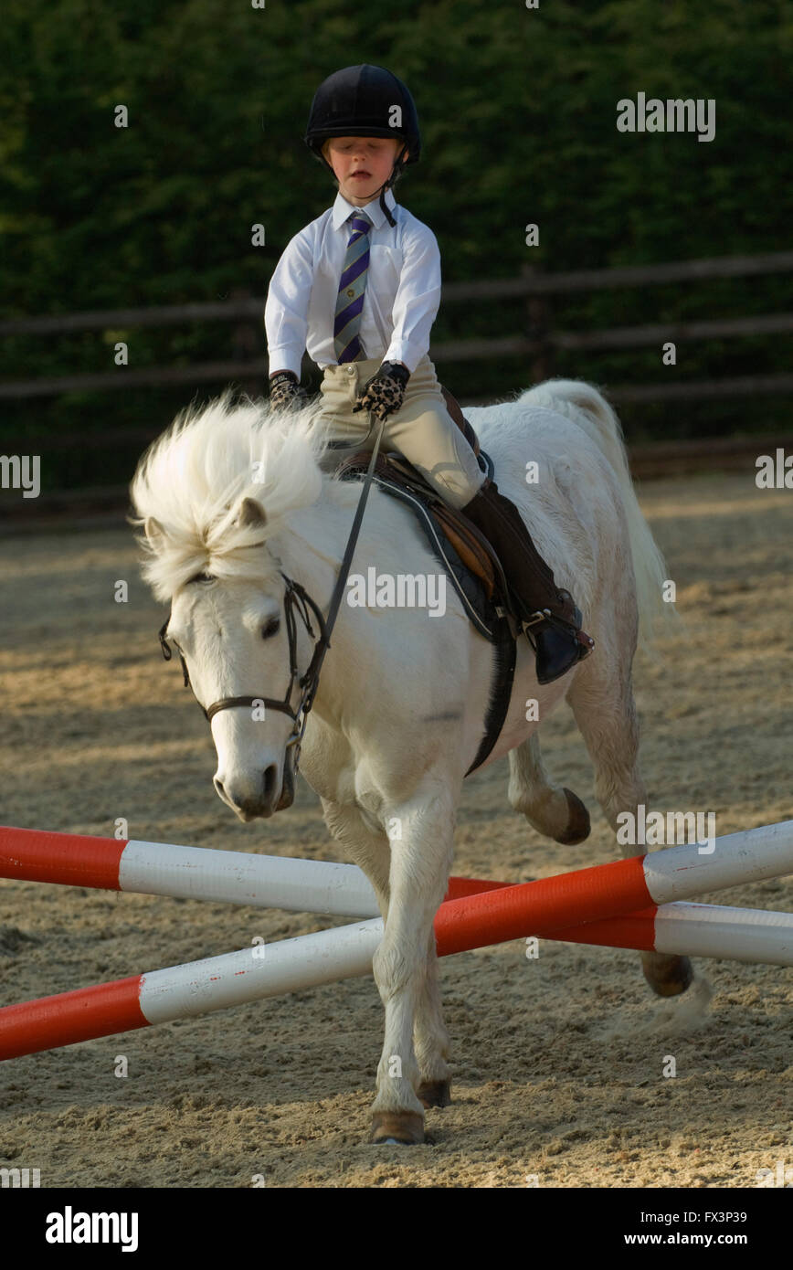 Pony Club meeting in Devonshire with help from olympic equestrian Mary ...