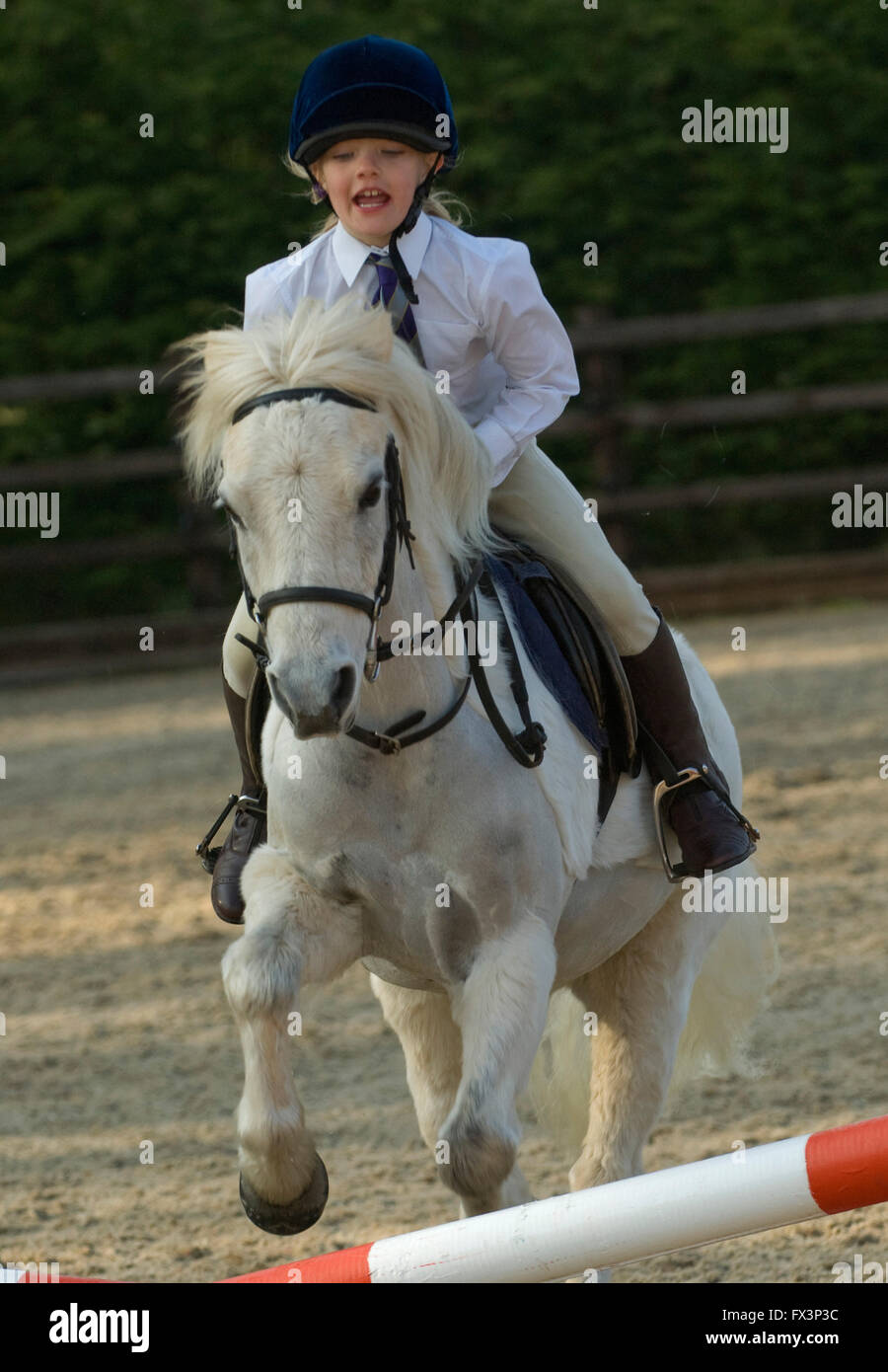Pony Club meeting in Devonshire with help from olympic equestrian Mary ...
