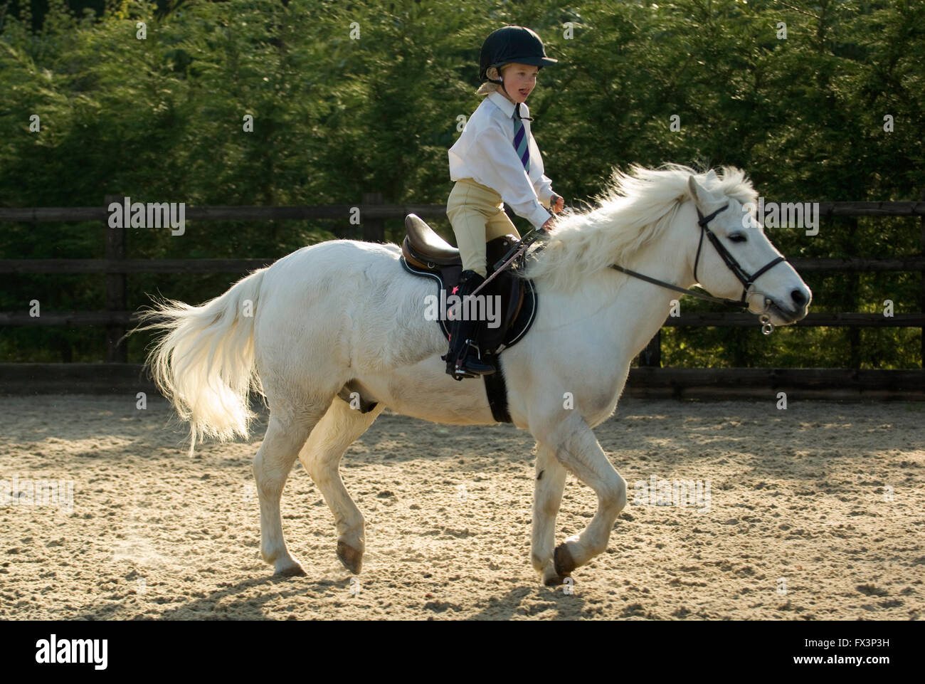 Pony Club meeting in Devonshire with help from olympic equestrian Mary ...