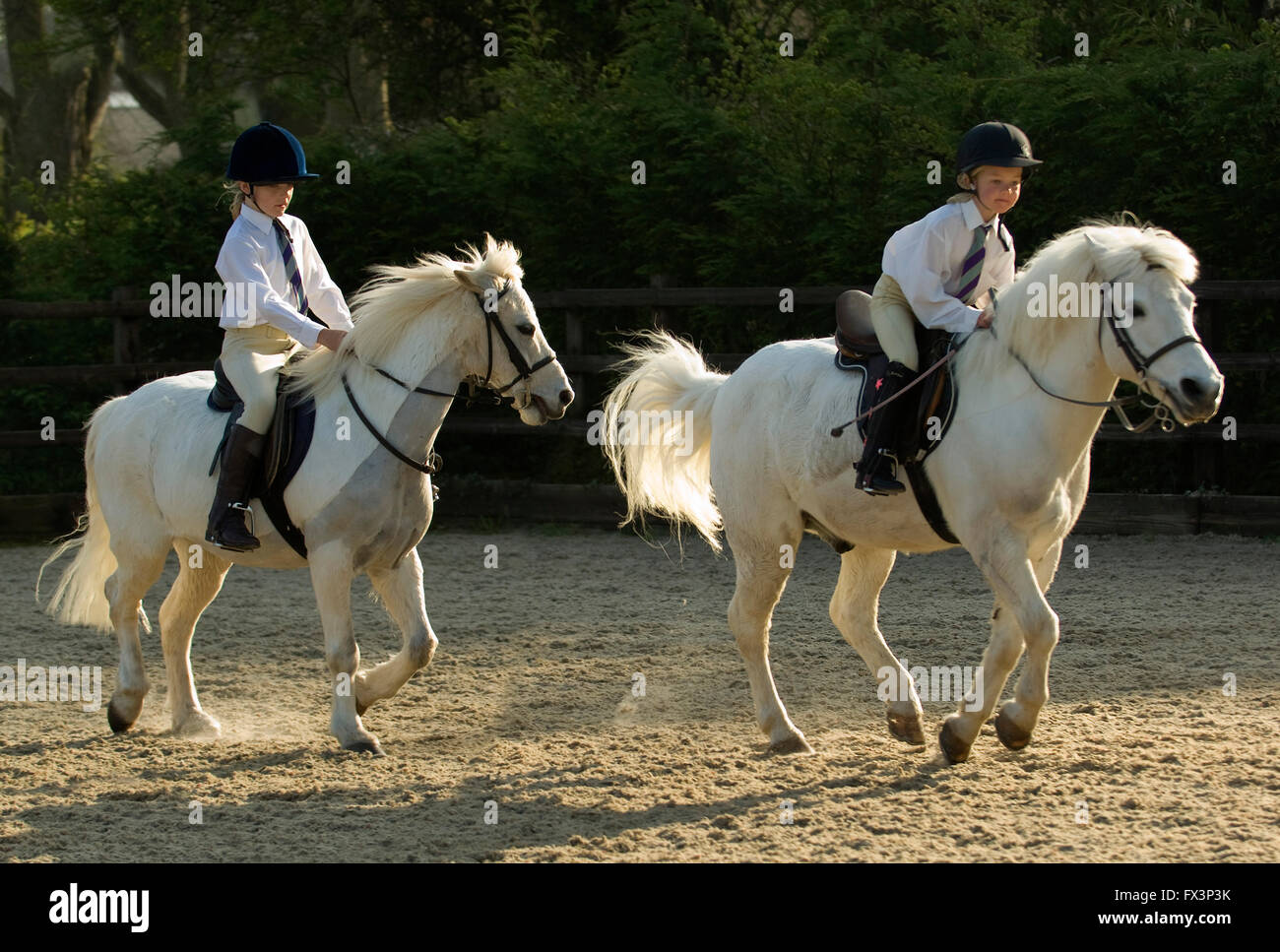 Pony Club meeting in Devonshire with help from olympic equestrian Mary ...