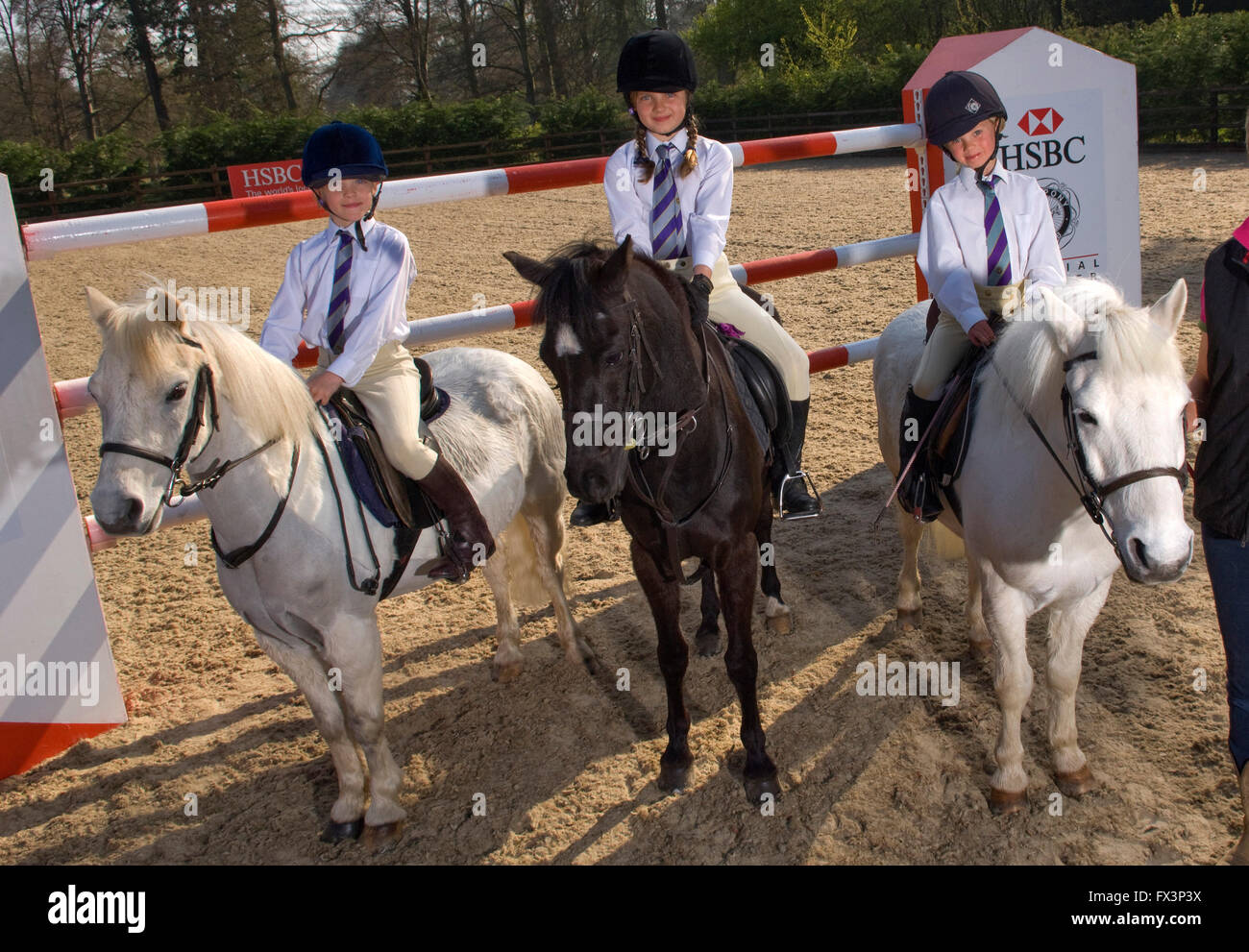 Leisure pony hi-res stock photography and images - Alamy