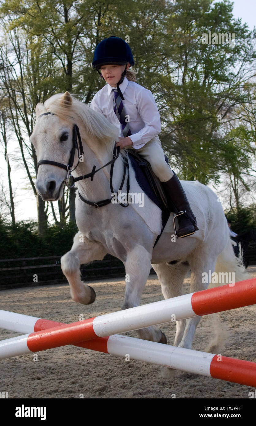 Pony Club meeting in Devonshire with help from olympic equestrian Mary ...