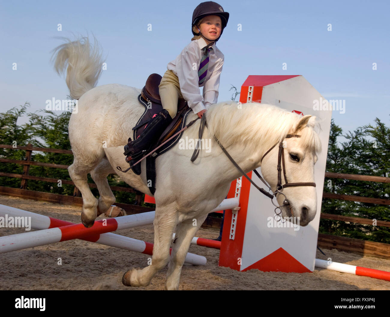 Pony Club meeting in Devonshire with help from olympic equestrian Mary ...