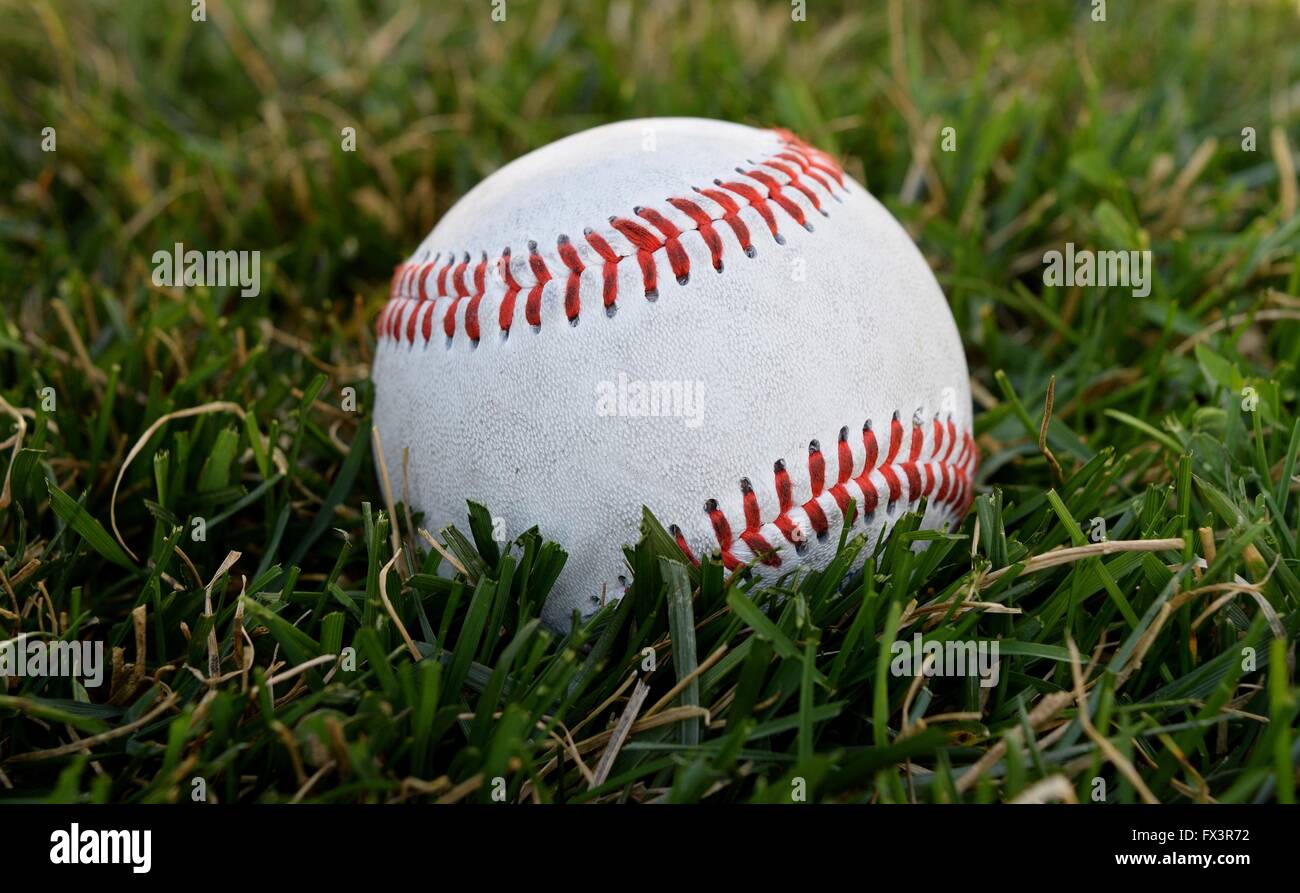 Baseball laying on grass hi-res stock photography and images - Alamy