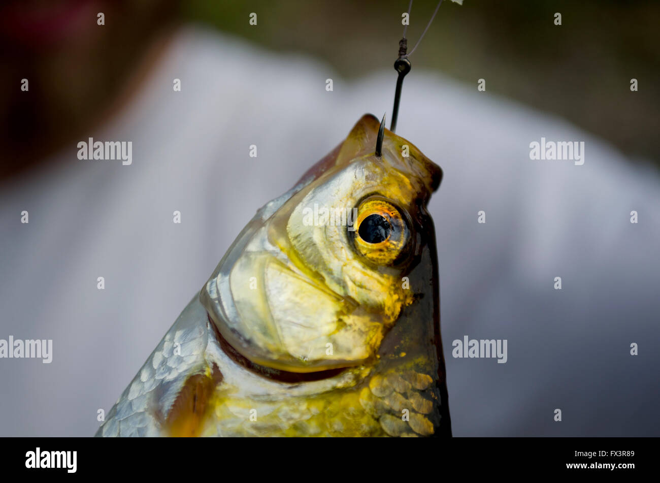Hooked gathering hi-res stock photography and images - Alamy