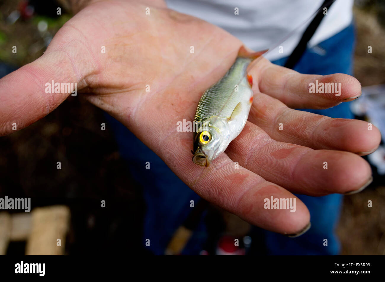 Hand fish hi-res stock photography and images - Alamy