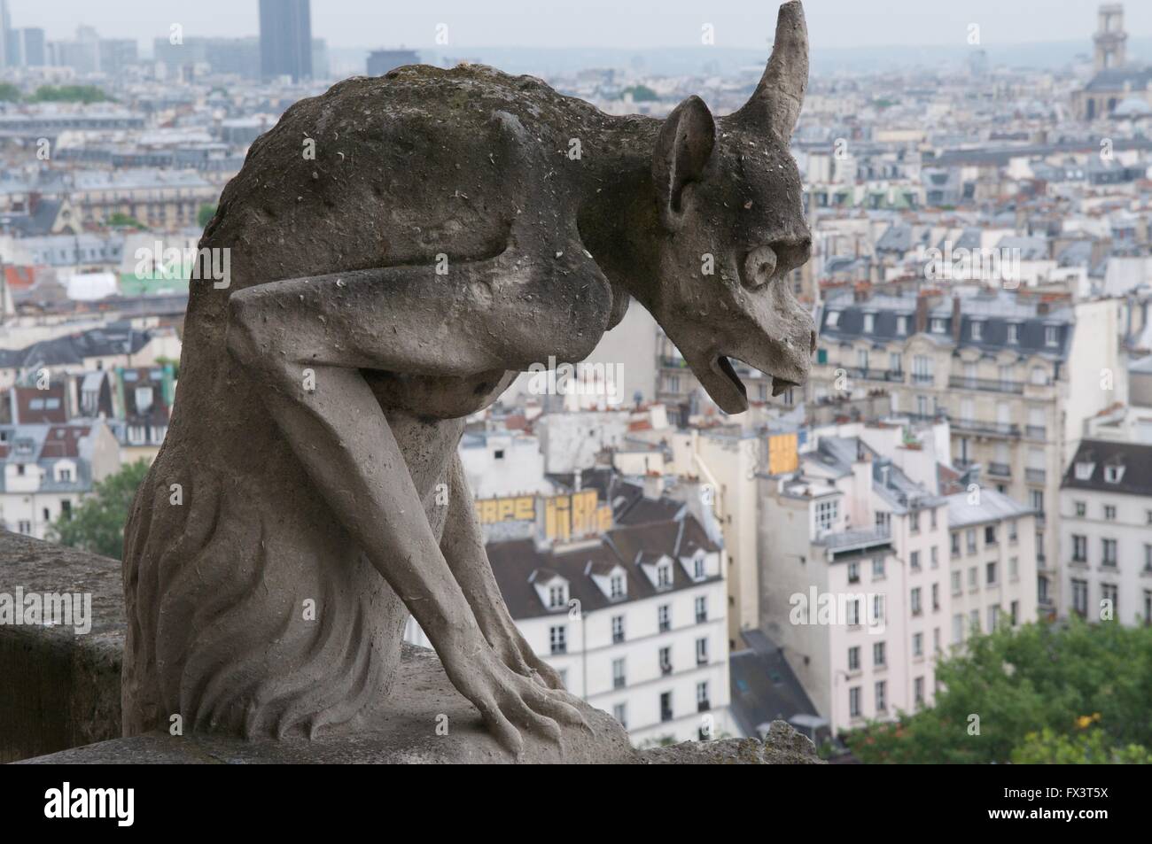 Gargoyle perched atop the Cathedral of Notre Dame, Paris France Stock ...
