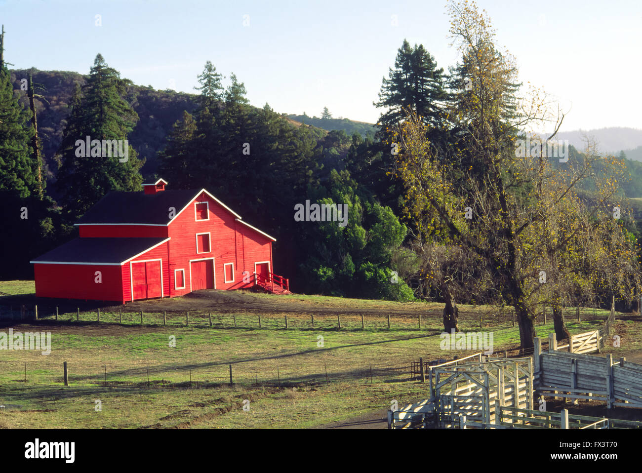 Red barn surrounded by woods, with white barnyard fence, in Santa Cruz ...