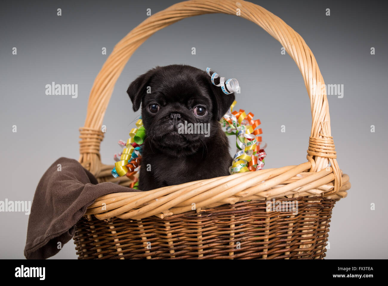 Wearing basket hi-res stock photography and images - Alamy