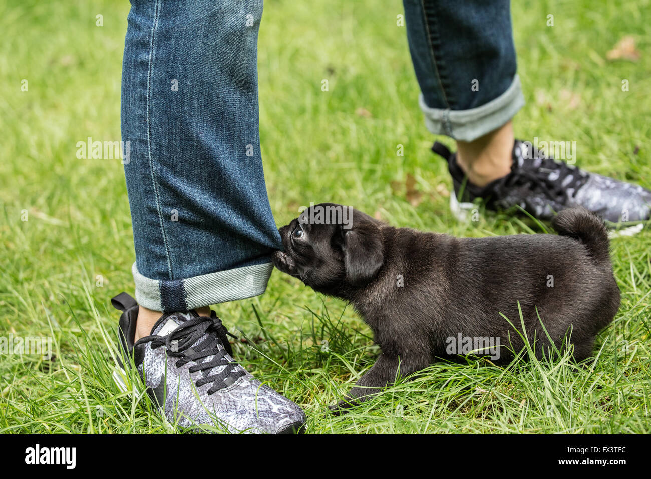 Woman pulling on jeans hi-res stock photography and images - Alamy